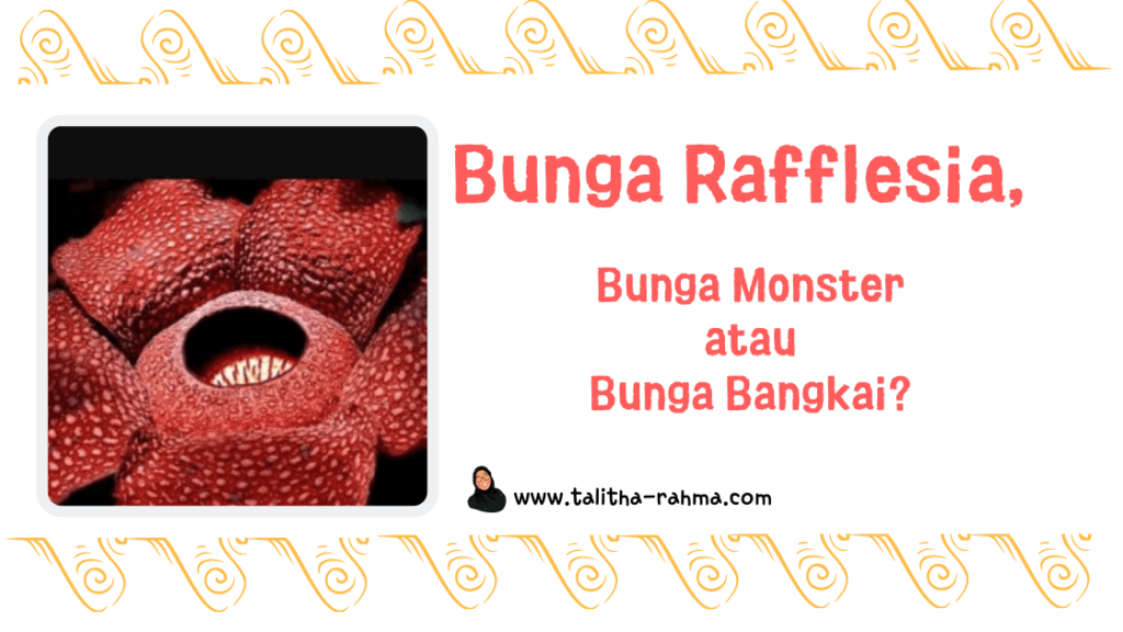 Bunga Rafflesia, Bunga Monster atau Bunga Bangkai? – Just My Pensive Mood